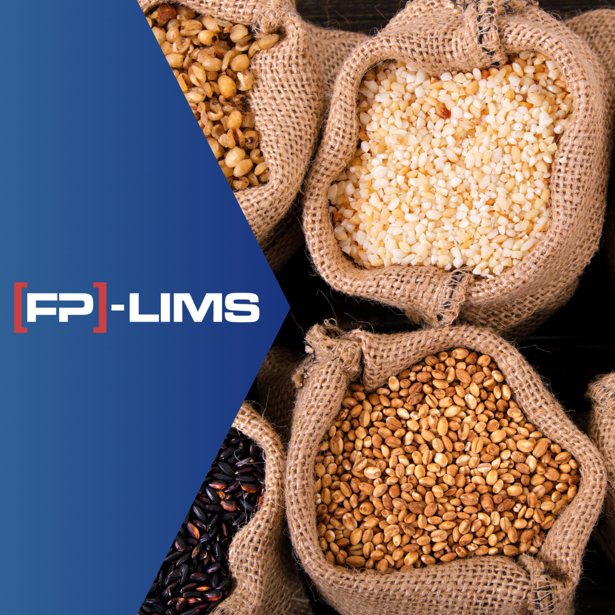 Particle size analysis: Method - [FP]-LIMS Software